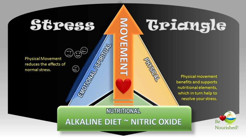 Stress Triangle - The Wellness Workshop